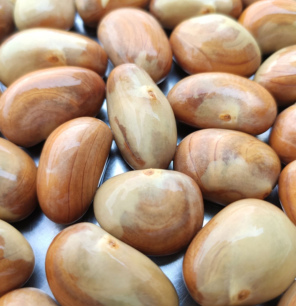 Our Products – NUT KING